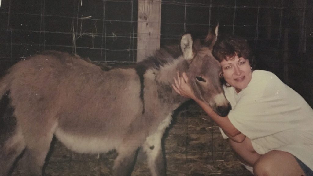 $1000 reward offered for ID of dogs killing donkeys in Blythewood | The ...