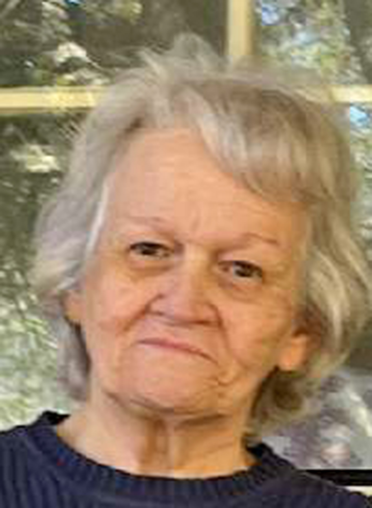 Sylvia Steen Zickmund | The Voice of Blythewood & Fairfield County