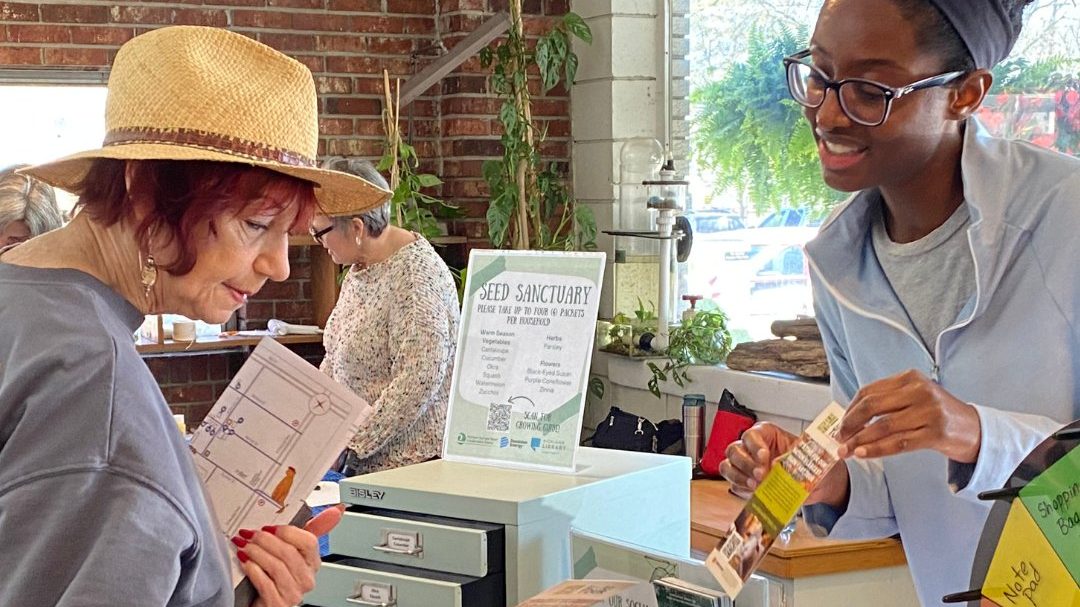 Free seeds available through Richland County Seed Sanctuary | The Voice ...